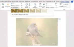 👉 Cómo Hacer que una Imagen sea Transparente en Word