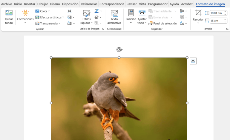 👉 Cómo Hacer que una Imagen sea Transparente en Word