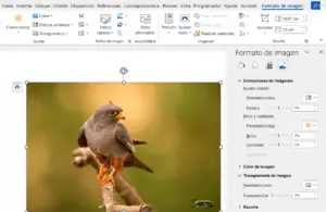 👉 Cómo Hacer que una Imagen sea Transparente en Word